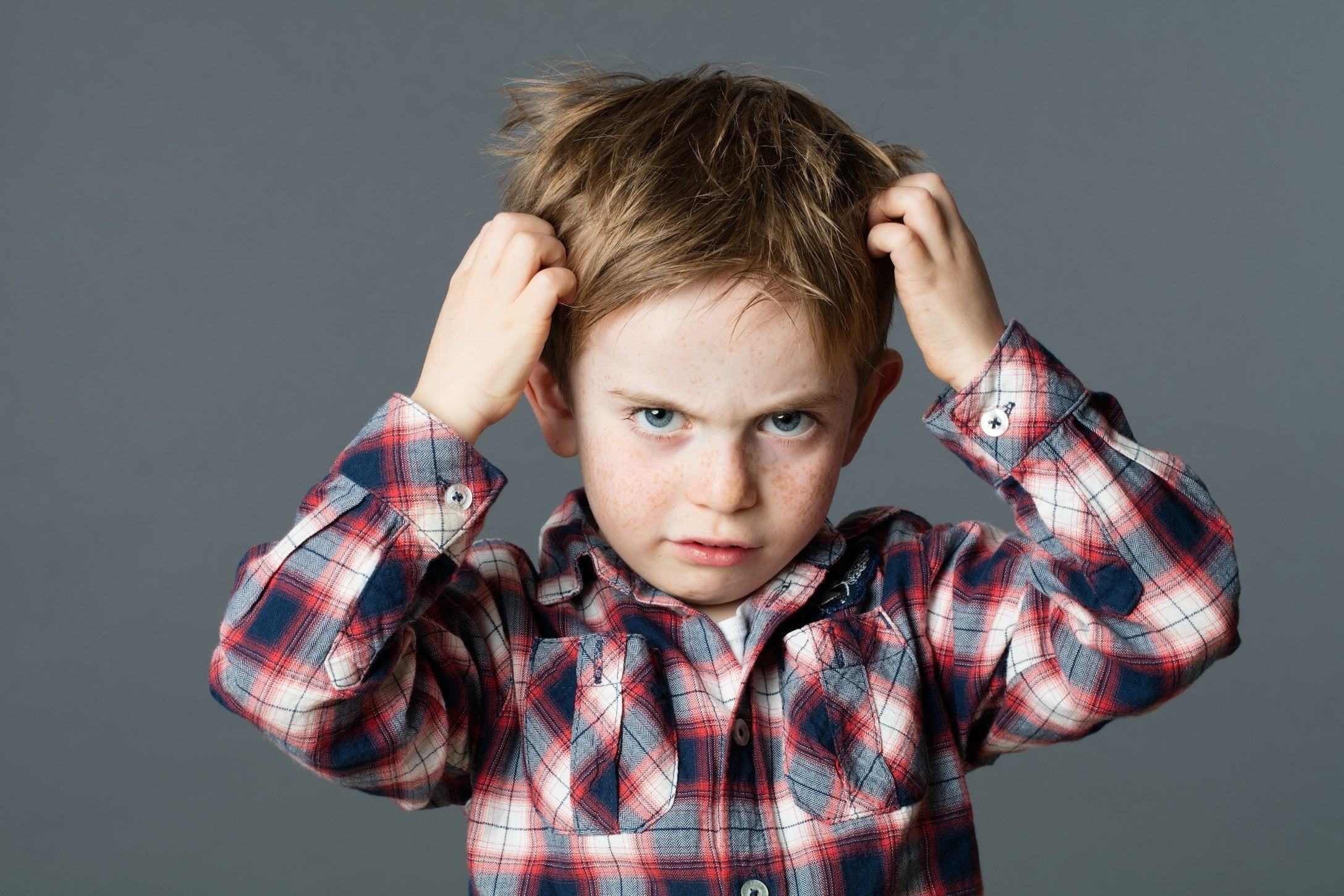 Why vigilance is the key to staying on top of nits – ISpyNits